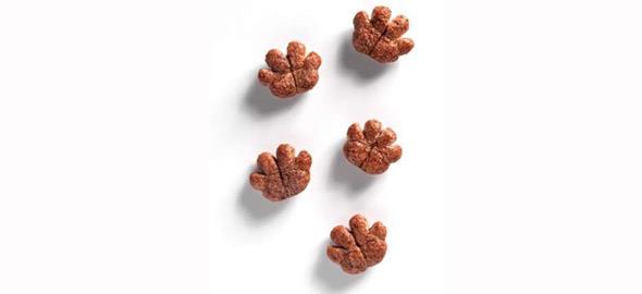 Kellogg’s Coco Pops: Ελάτε να γιορτάσουμε την αποκάλυψη του Croc!